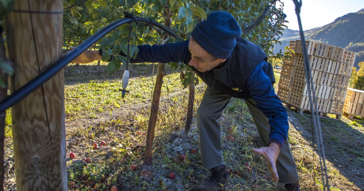 Du Drac à la Durance, la sécheresse dans les Hautes-Alpes est source de ...