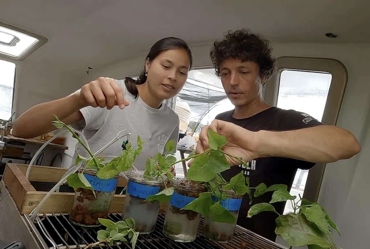 120 jours en autonomie dans un studio de 25 mètres carrés, le défi low ...
